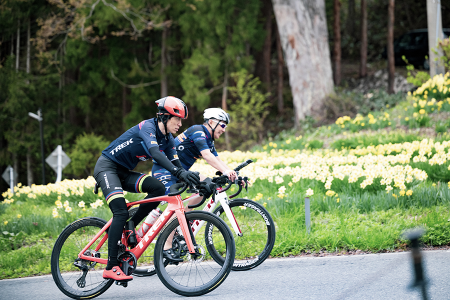 sub007 - LUMINA Webマガジン